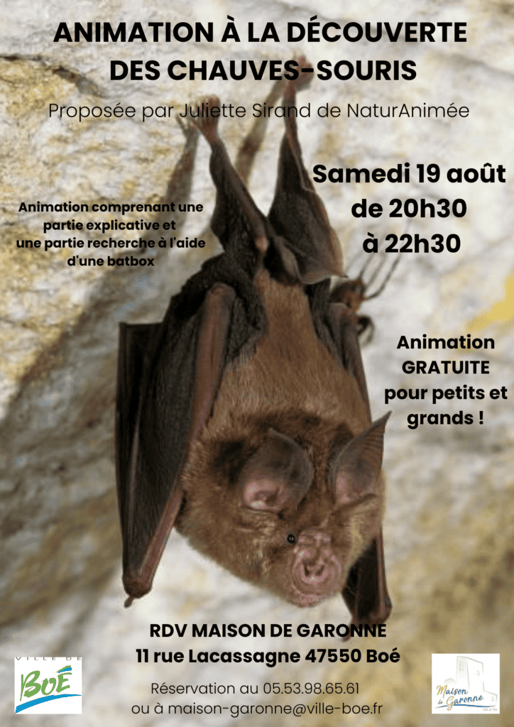 Animation découverte des chauves-souris – Maison de Garonne